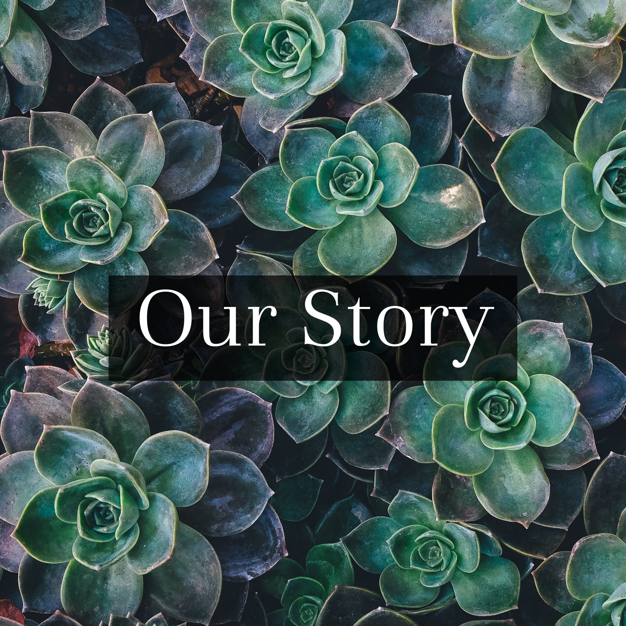 Dayton Wellness Collective – Wellness Practitioners in the Dayton area ...